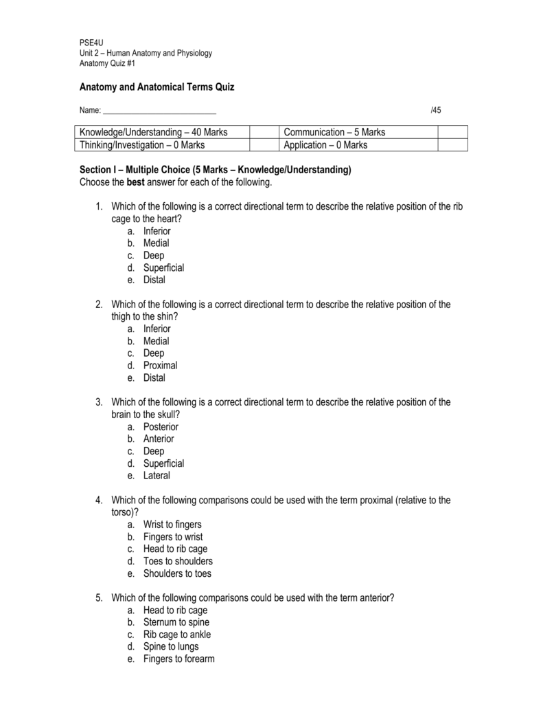 50 Best Ideas For Coloring Anatomy And Physiology Quiz