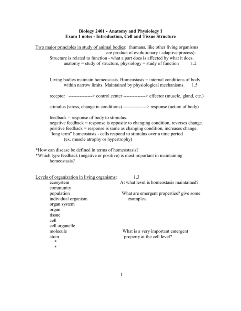 Anatomy And Physiology Notes Anatomy And Physiology Notes
