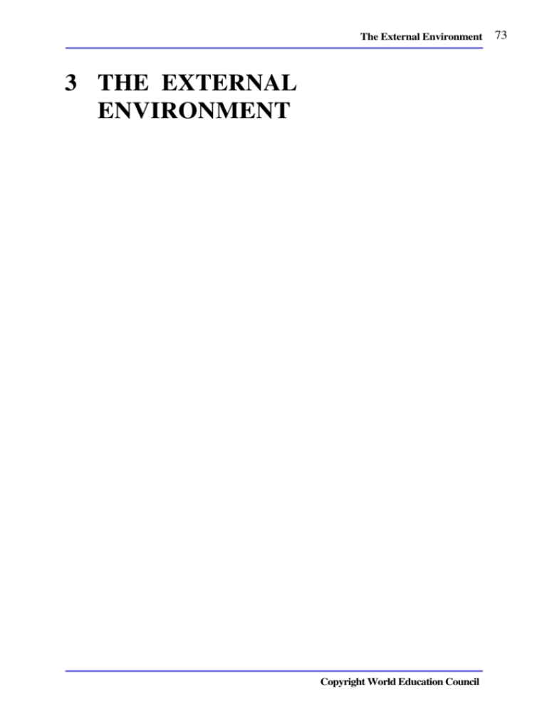 3 THE EXTERNAL ENVIRONMENT