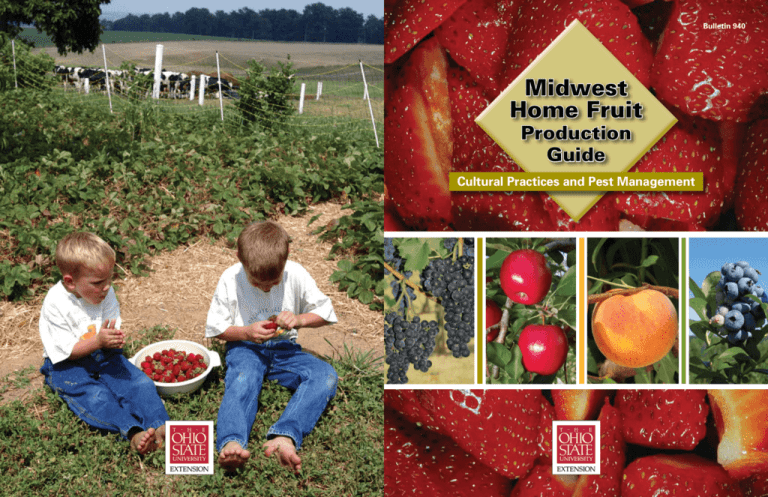 Midwest Home Fruit Purdue Agriculture