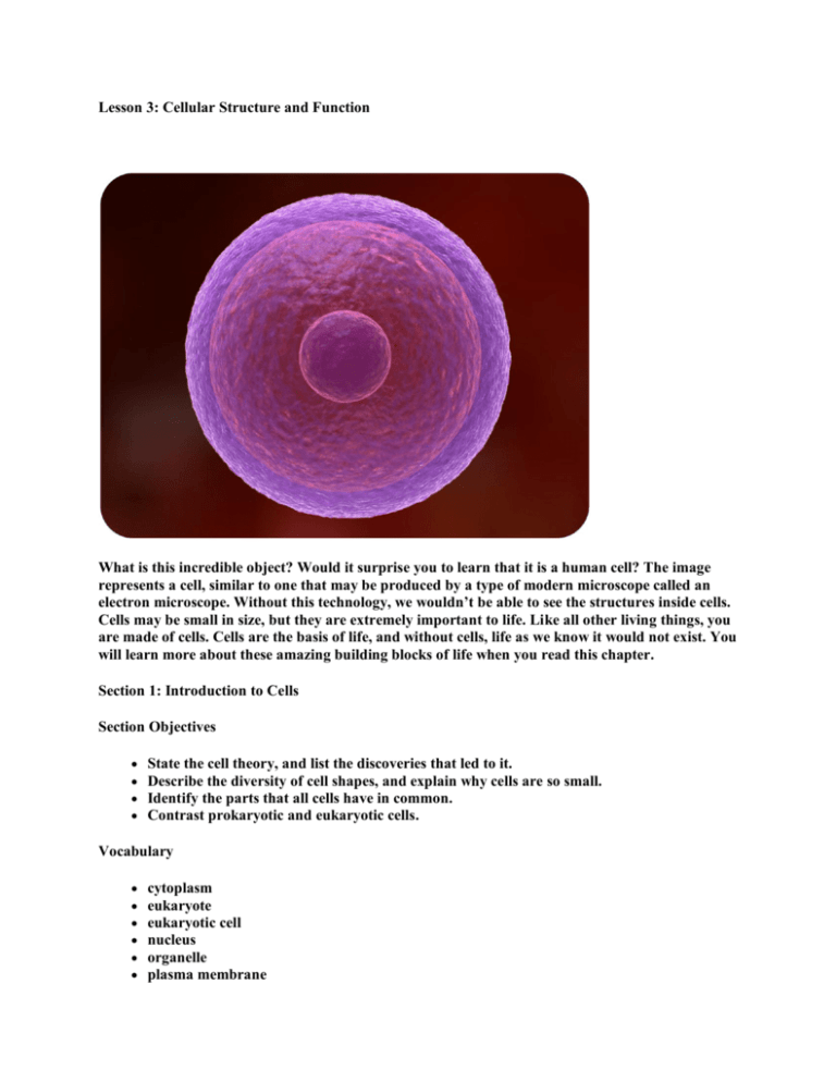 Lesson 3 Cellular Structure And Function What Is This Incredible