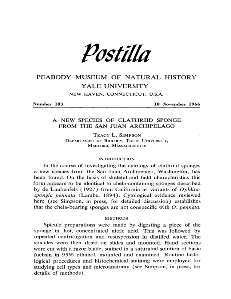 Postilla - Yale Peabody Museum of Natural History
