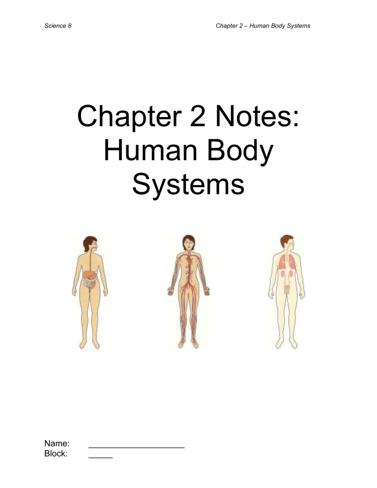 Chapter 2 Notes Human Body Systems Chapter 2 Notes Human Body Systems