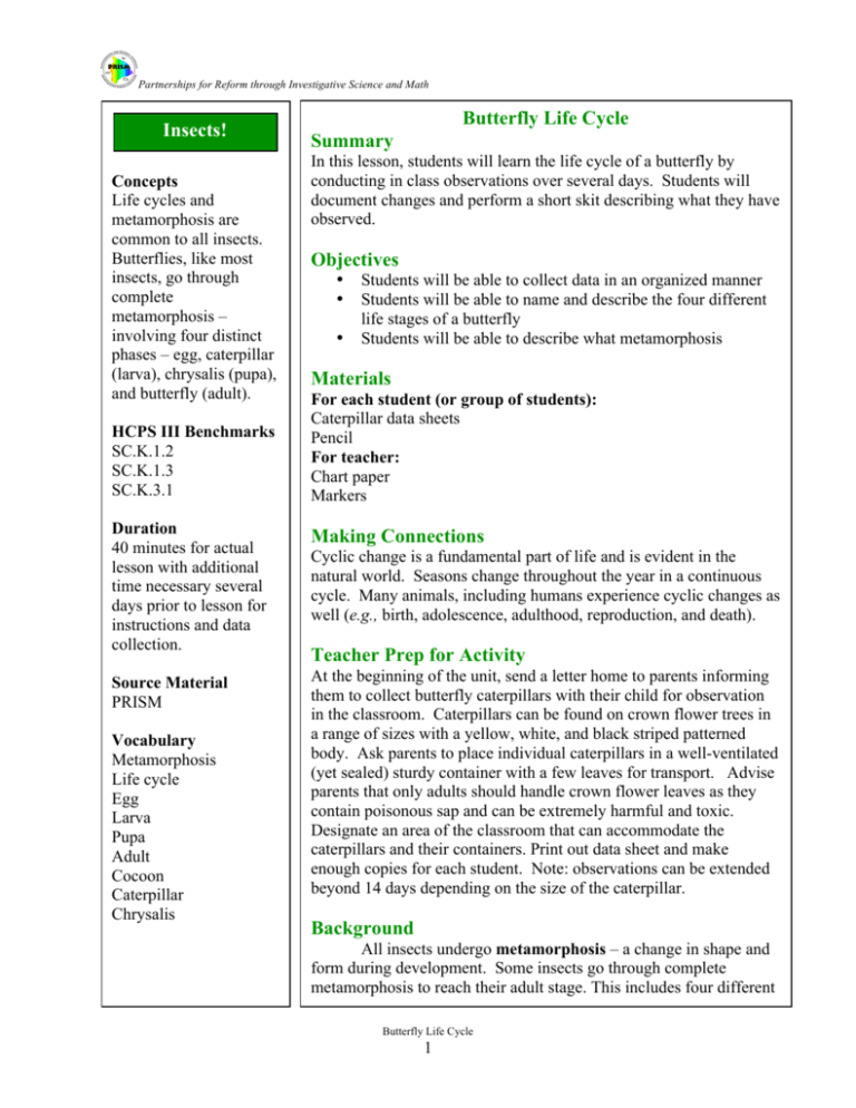 Butterfly Life Cycle Summary Objectives Materials Making Butterfly Life Cycle Summary Objectives Materials Making