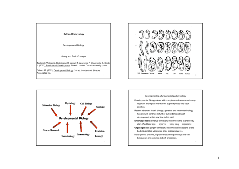 Cell And Embryology Developmental Biology History And Basic Cell And Embryology Developmental Biology History And Basic