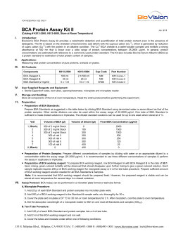 BCA Assay for Total Protein
