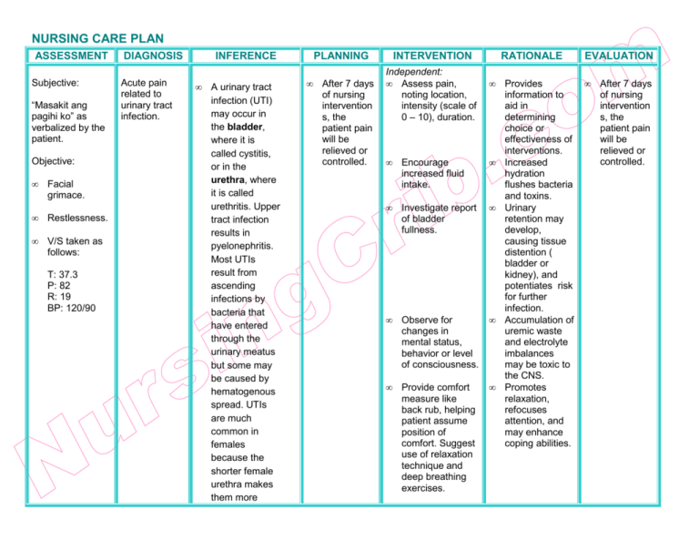 Nursing Care Plan UTI Pain Management