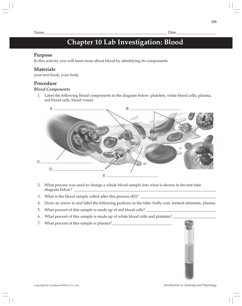 Anatomy And Physiology Chapter 10 Blood Study Guide Answers Study Poster Anatomy And Physiology Chapter 10 Blood Study Guide Answers Study Poster