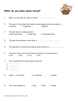 Yeast Bread Worksheet