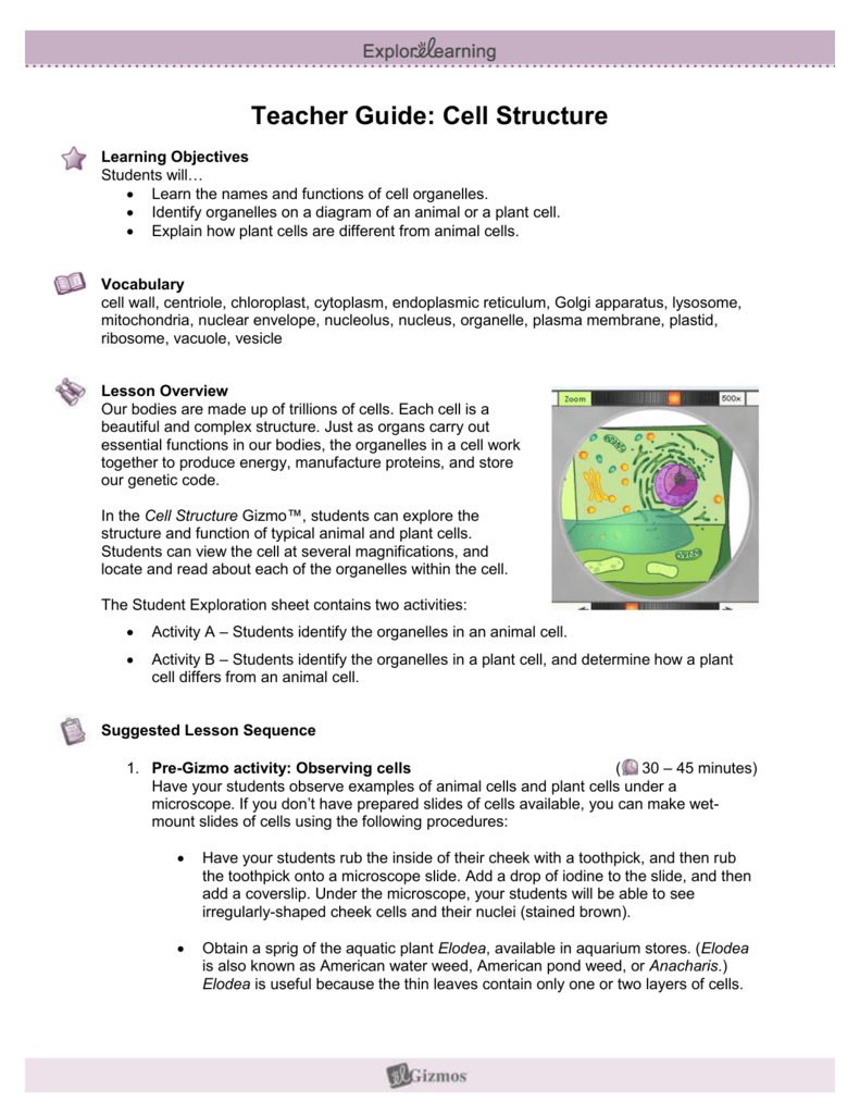 Cell Types Gizmos C Answer Key Https Www Explorelearning Com Index 