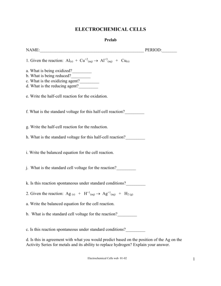 Electrochemical Cells Lab Document