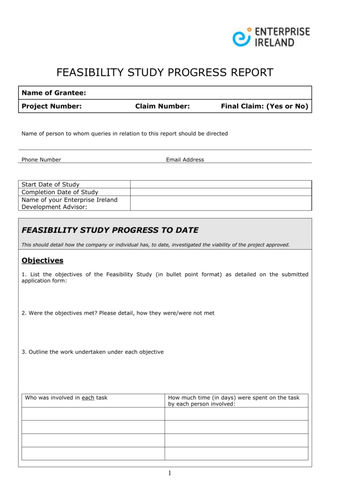 Feasibility Report Sample Master Template