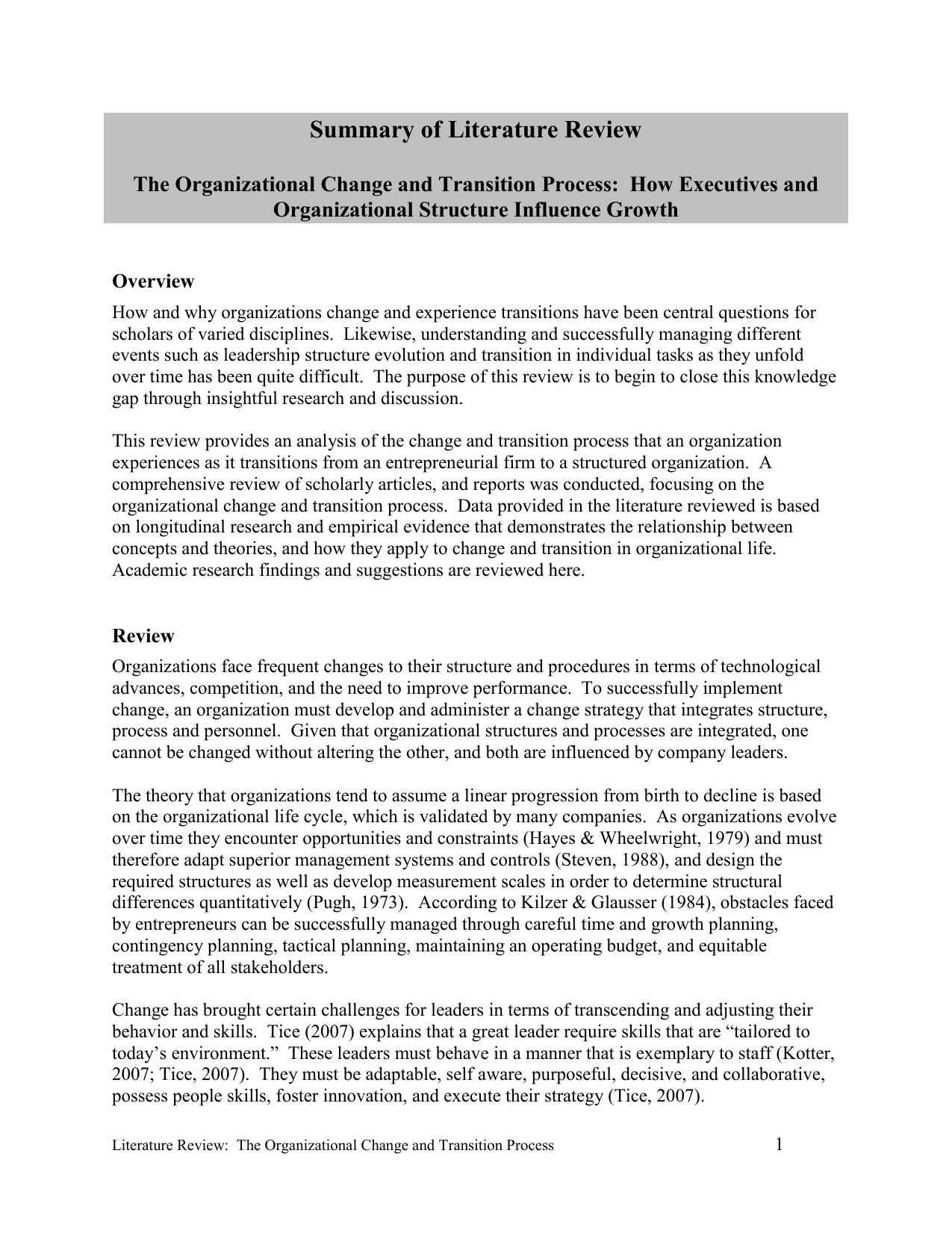 Summary Of Literature Review Summary Of Literature Review