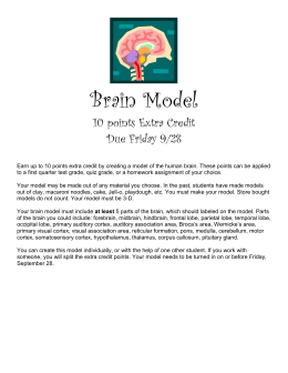 Brain Function and Mnemonics