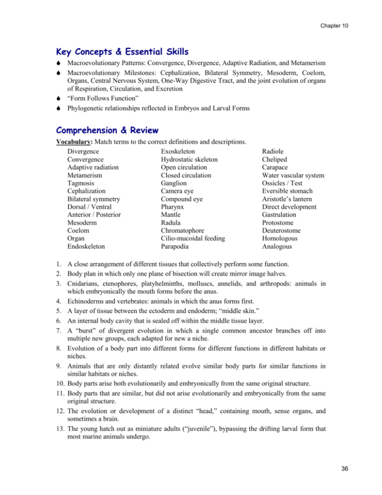 Key Concepts And Essential Skills