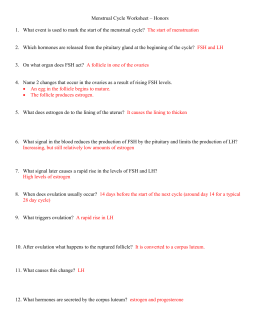 Menstrual Cycle Lab Answer Key Menstrual Cycle Lab: Student