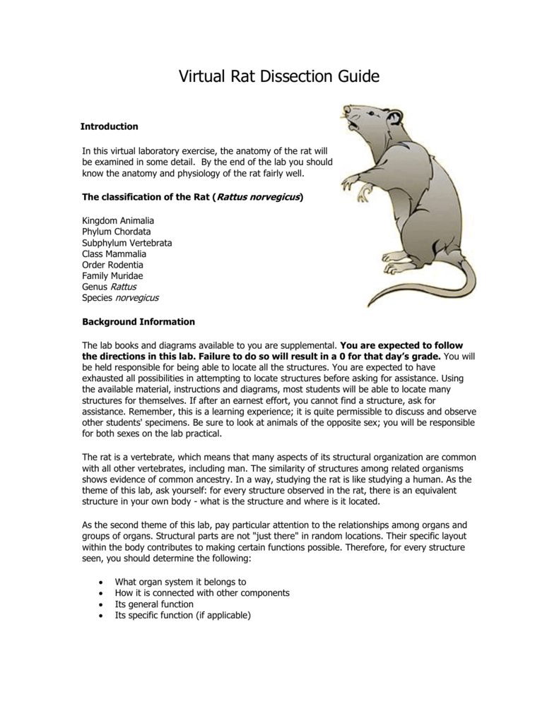 Virtual Rat Dissection Guide Virtual Rat Dissection Guide