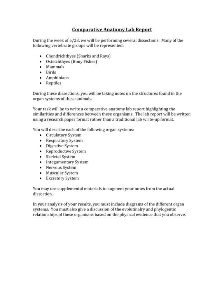 Comparative Anatomy Lab Report