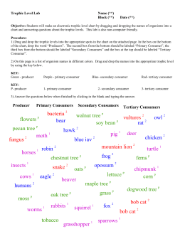 Organizing Trophic Levels Activity