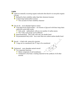 Lipids Worksheet