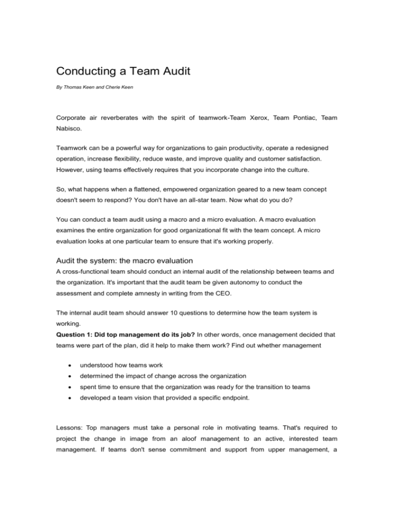 Conducting a Team Audit - IBS Consulting Company