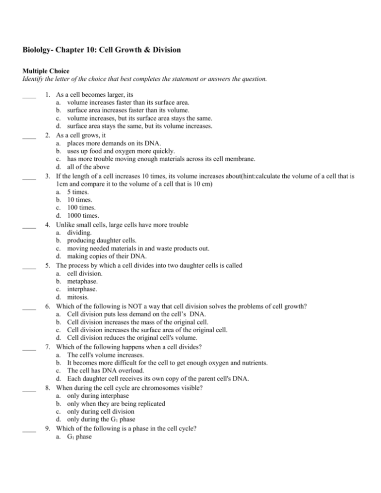 Chapter 10 Cell Growth And Division Workbook Answer Key
