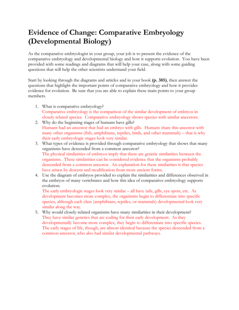 Evidence Of Change Embryology
