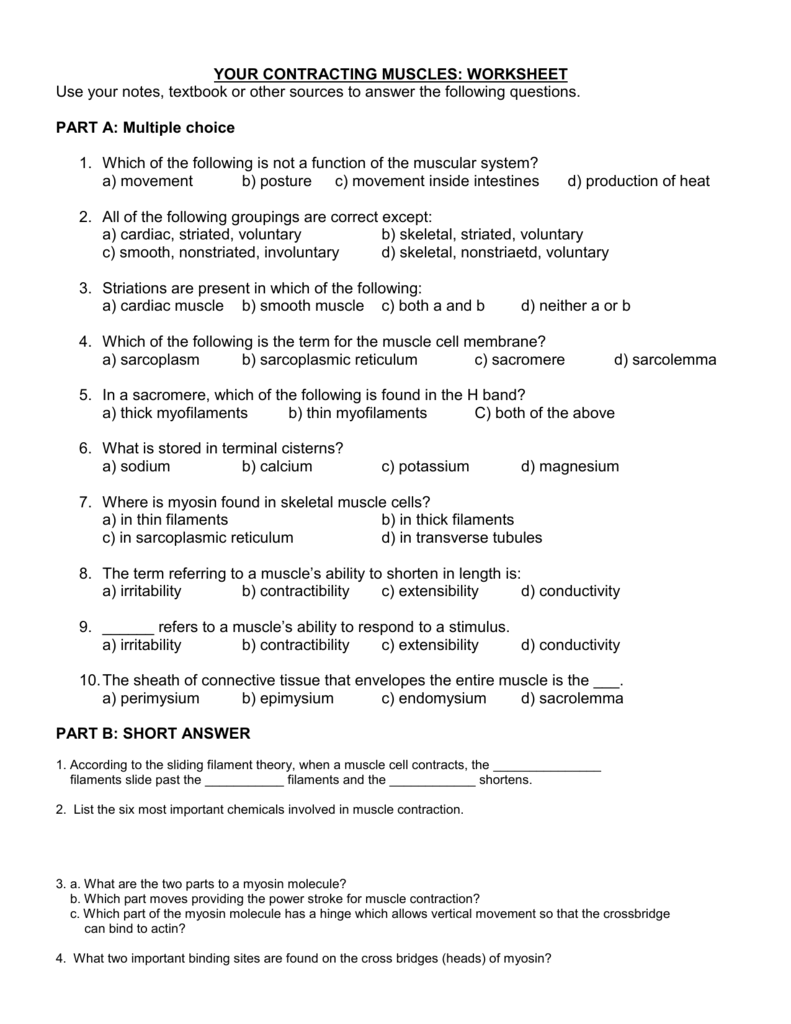 Your Contracting Muscles Worksheet