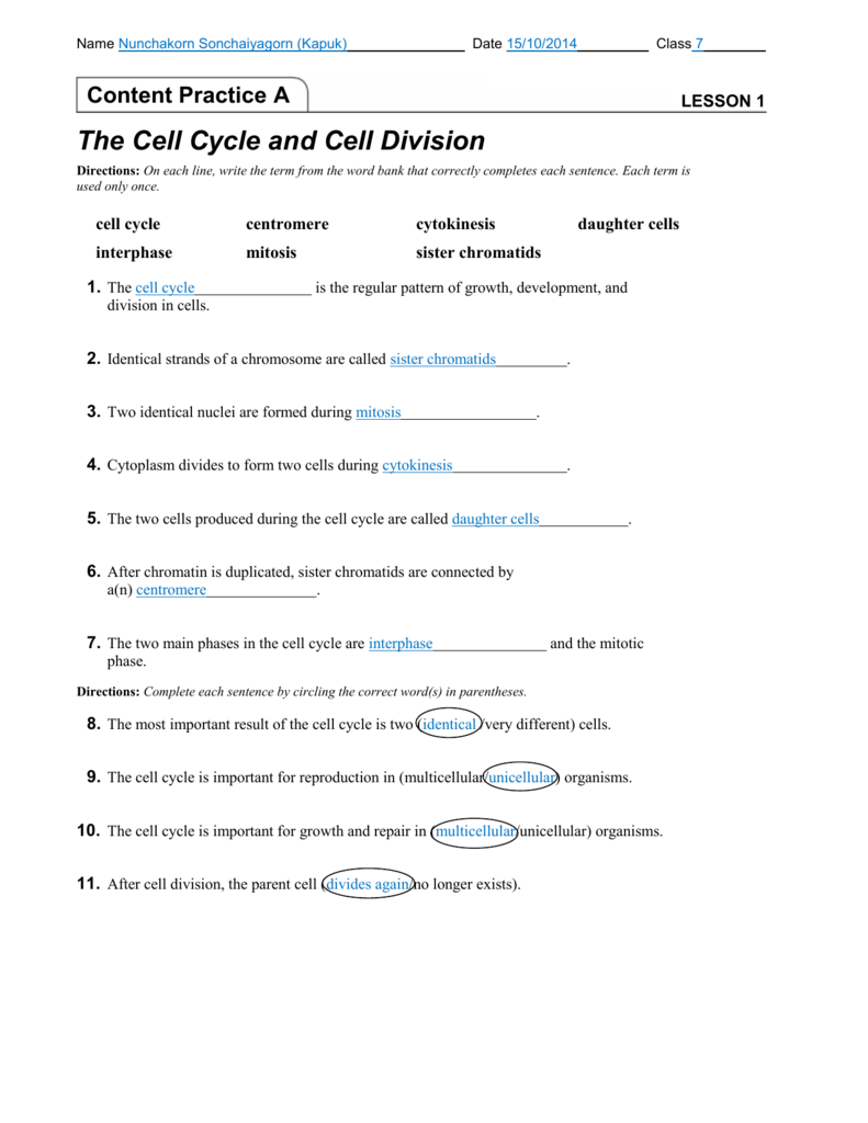 Lesson 1 The Cell Cycle And Cell Division Kapuk s E