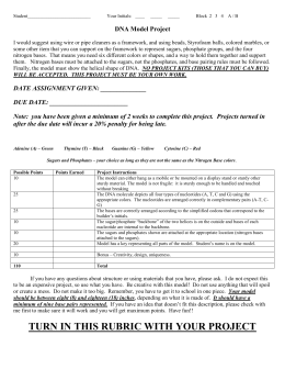 DNA Model Project Examples