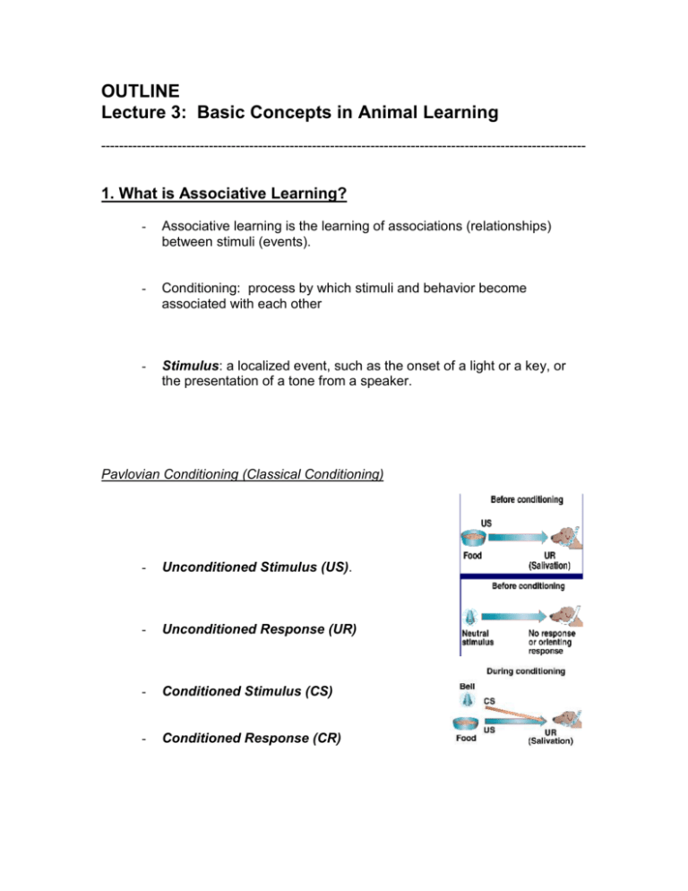 Word Infant Cognition Group Word Infant Cognition Group
