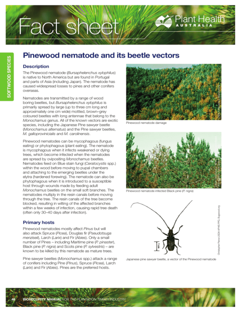 Fact Sheet Plant Health Australia
