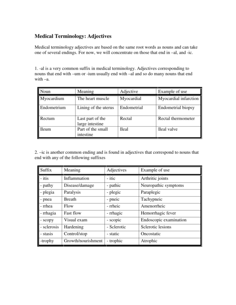 Medical Terminology Adjectives Medical Terminology Adjectives