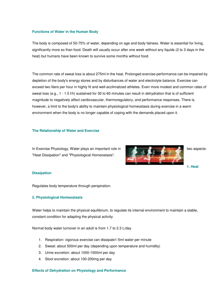 Functions Of Water In The Human Body The Body Is Composed Of 50