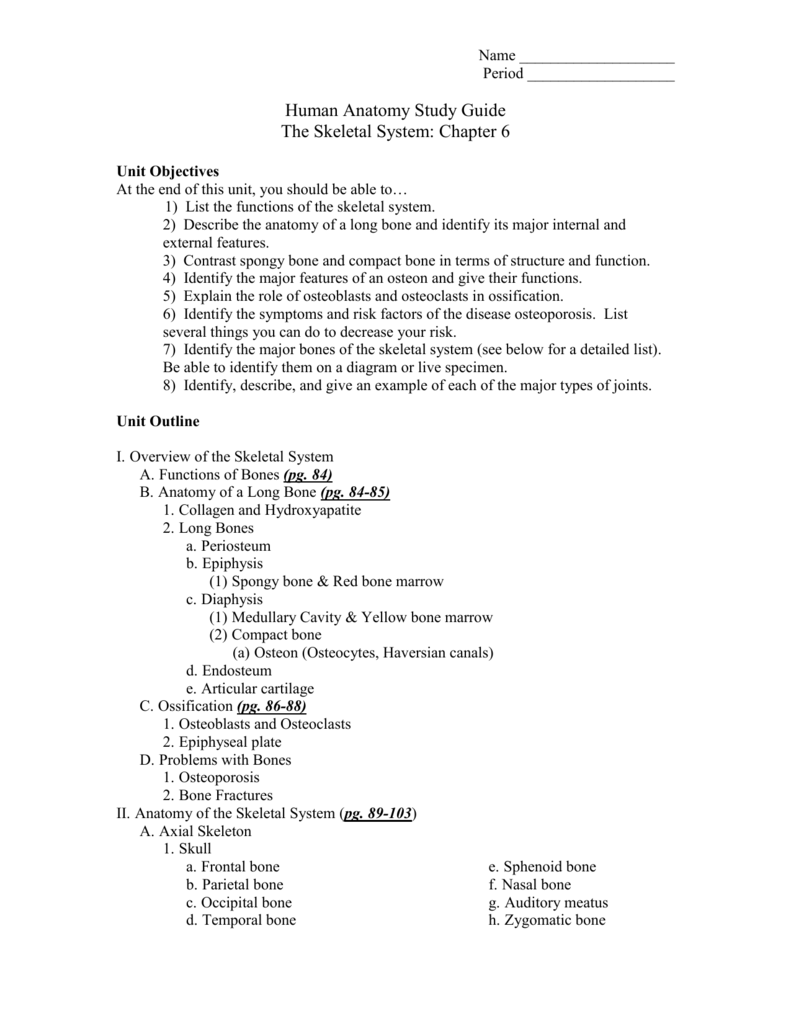 Human Anatomy Study Guide The Skeletal System Chapter 6