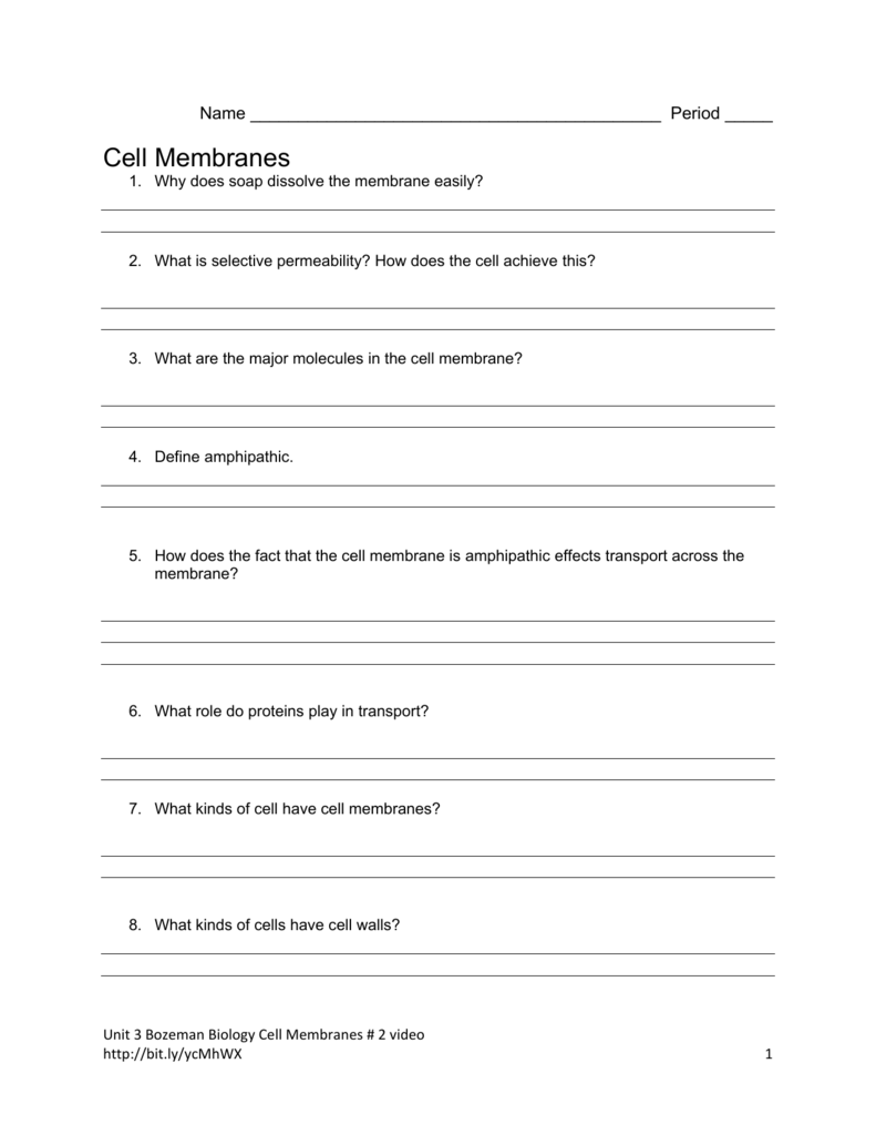 Bozeman Science Cell Membranes Short Video Worksheet Bozeman Science Cell Membranes Short Video Worksheet