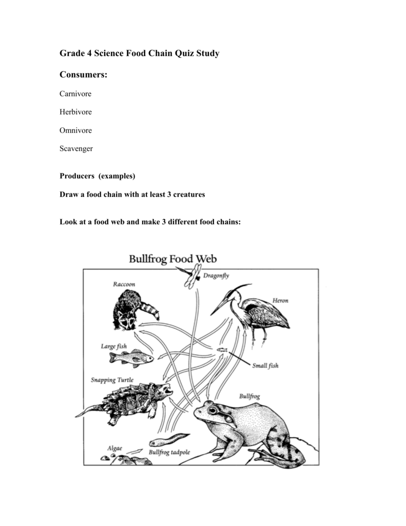 Grade 4 Science Food Chain Quiz Study Consumers 