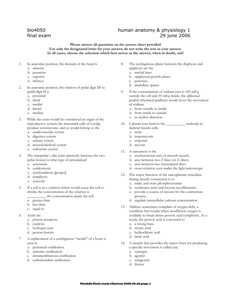 Extranjero Gritar Bisonte Level 3 Anatomy And Physiology Mock Exam