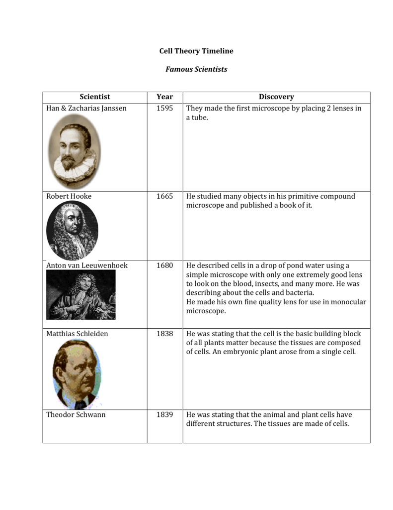 Cell Theory Timeline Famous Scientists Scientist Year Discovery Han Cell Theory Timeline Famous Scientists Scientist Year Discovery Han