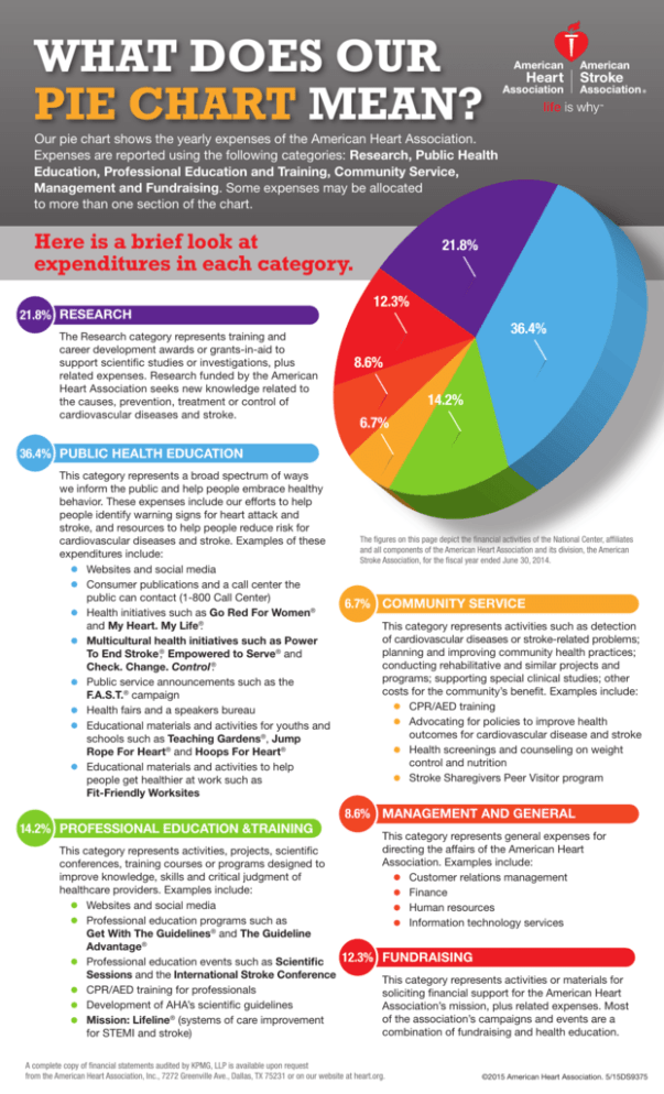What Does Our Pie Chart Mean 