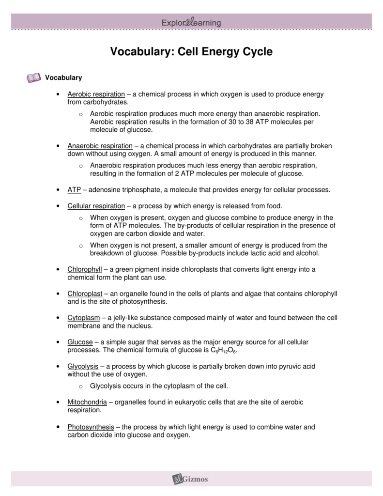 Vocabulary Cell Energy Cycle Vocabulary Cell Energy Cycle