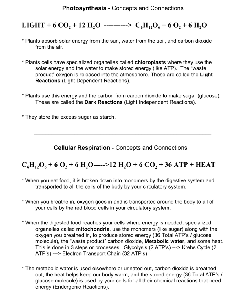 LIGHT 6 CO2 12 H2O LIGHT 6 CO2 12 H2O