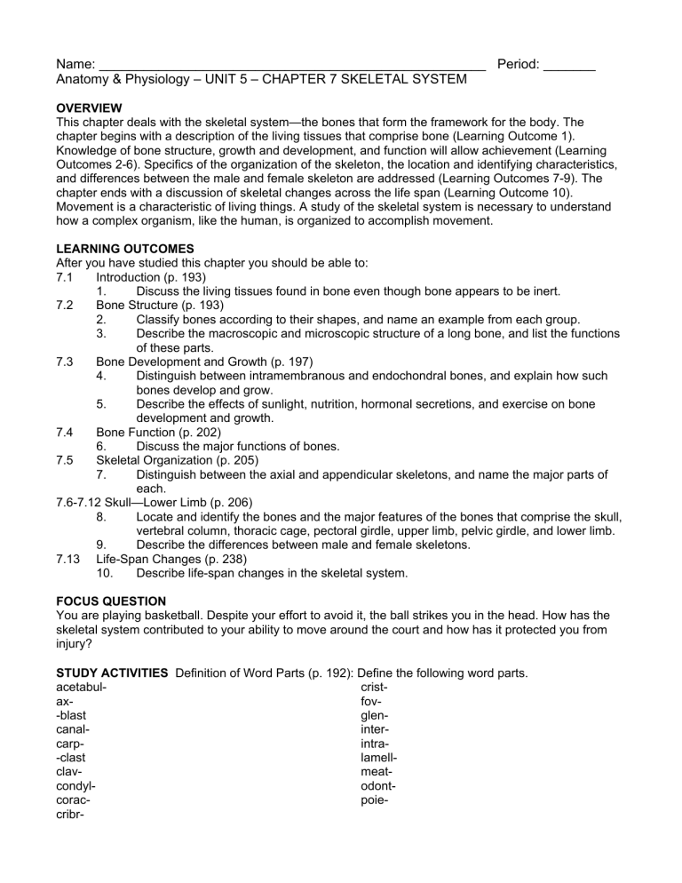 CHAPTER 7 SKELETAL SYSTEM