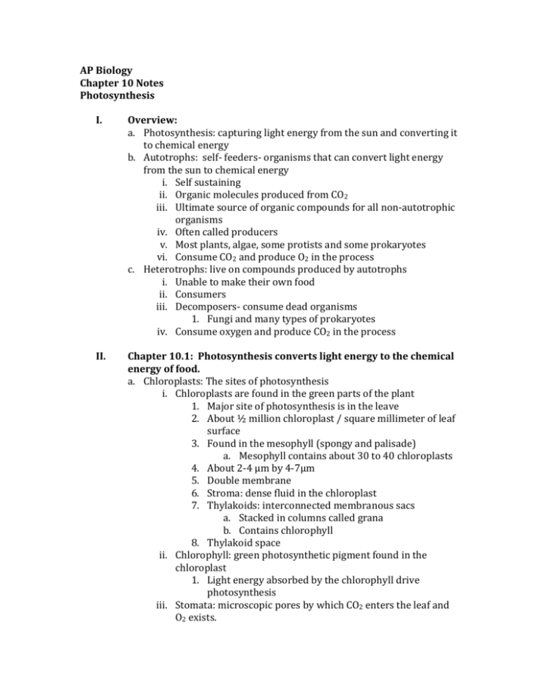 AP Biology Chapter 10 Notes Photosynthesis I Overview A AP Biology Chapter 10 Notes Photosynthesis I Overview A