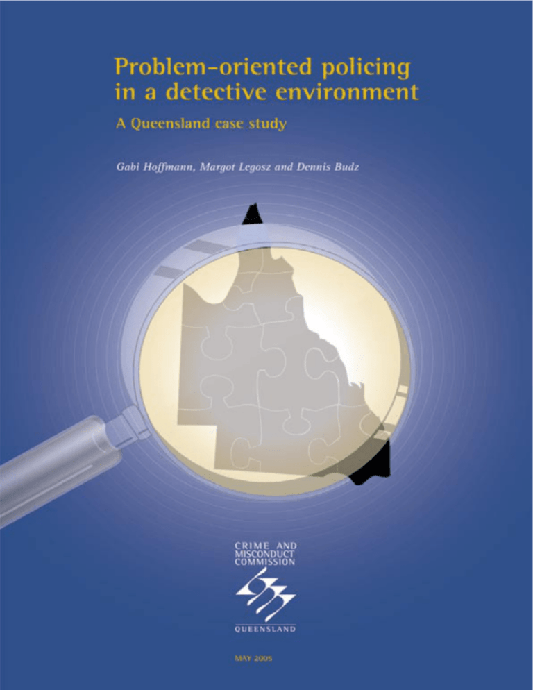 Problem-oriented policing in a detective environment