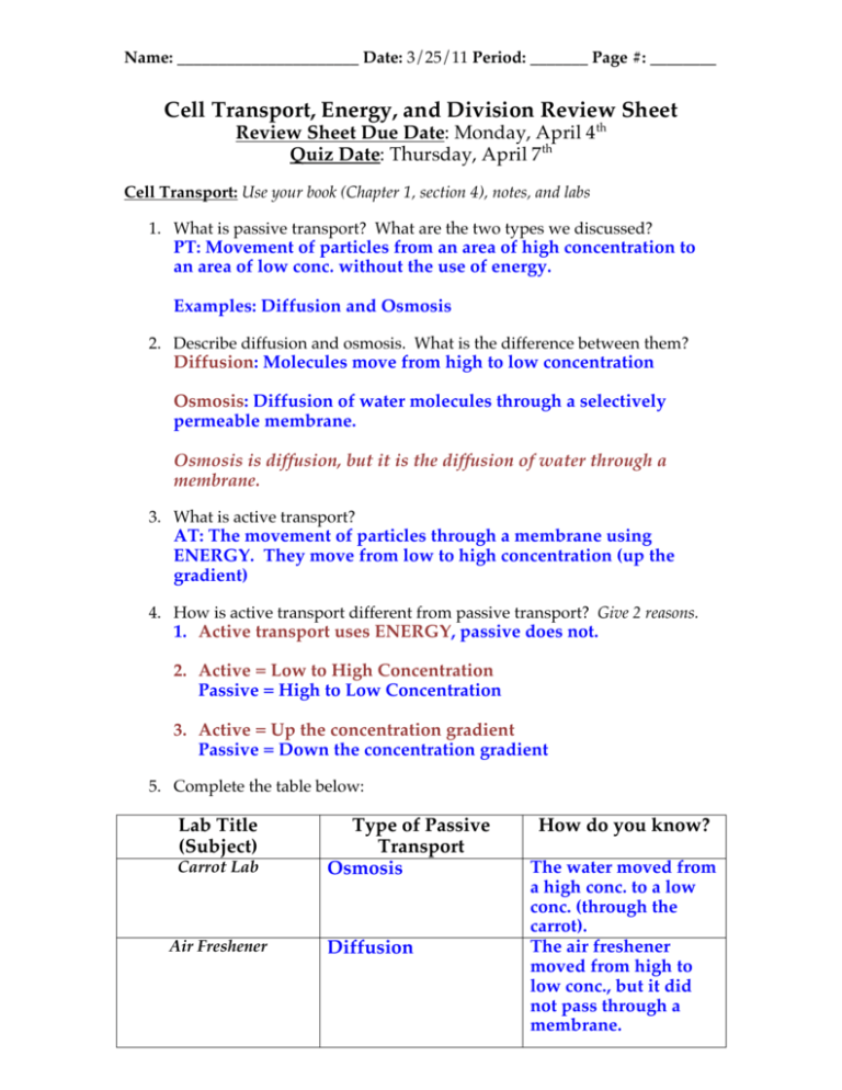Cell Transport Review Sheet Answers Cell Transport Review Sheet Answers