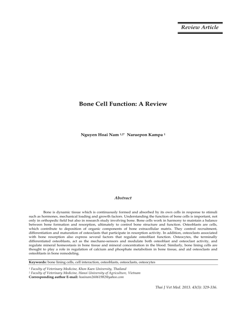 Bone Cell Function A Review