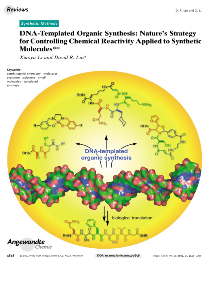 DNA Templated Organic Synthesis Nature s Strategy For Controlling
