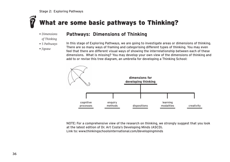 Pathways to Thinking: Dimensions & Cognitive Processes
