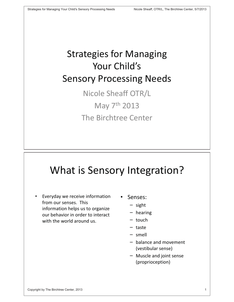 What Is Sensory Integration What Is Sensory Integration